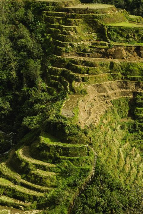 Banaue Rice Terraces Wallpapers 32 Images Wallpapercat