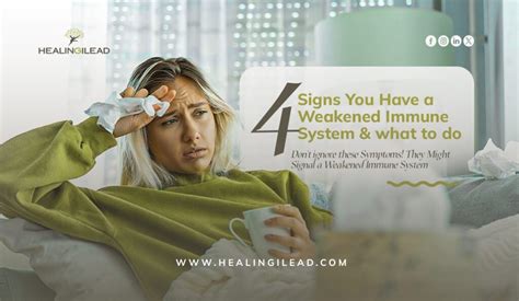 4 Signs You Have A Weakened Immune System And What To Do