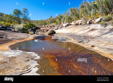 The Junction Of Bald Rock And Ramsay Creeks The Junction Girraween