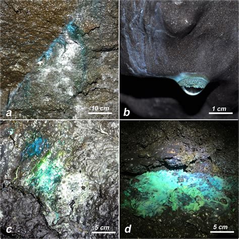Sampling Sites Of Blue Features A Sample B5 From Cave B B Sample Download Scientific