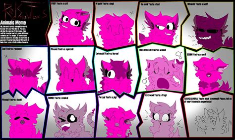 Original Meme From Redsnowfox I Did It By Rainbowkittyyt On Deviantart