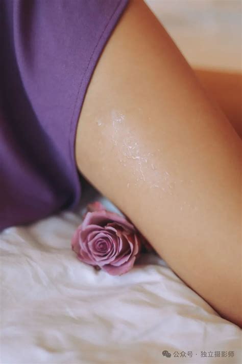 红玫瑰 摄影写真作品