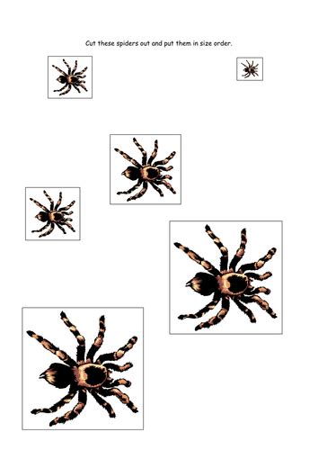 Aaaarrgghh Spider Teaching Resources Teaching Resources