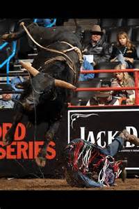 Pin By Carol Alf Rogers On Rodeo 2 Pbr Bucking Bulls Bull