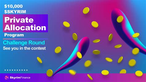 10000 Skyrim Private Allocation Challenge Round Smart Liquidity Research