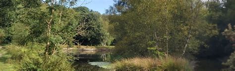 Rochdale To Bacup Line And Healey Dell Viaduct Circular 51 Reviews