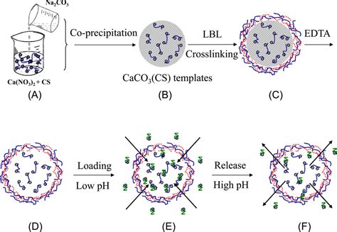 Ph Controlled Drug Loading And Release From Biodegradable Microcapsules