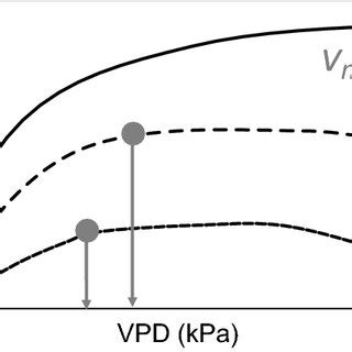 Theoretical Variation In Sap Flux Velocity V Response To Vpd Under