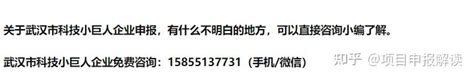 武汉市科技小巨人企业名单和各区奖励申报条件一览 知乎