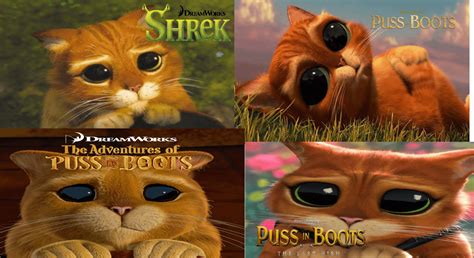 Evolution Of Puss In Boots Using The Cute Eyes R Pussinboots