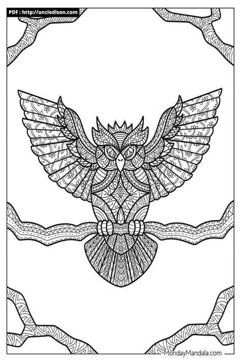 할로윈 색칠공부 도안 부엉이 올빼미 무료 Pdf