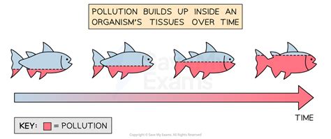 Heavy Metal Pollution Wjec Gcse Biology Combined Science Revision