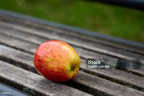 빨간 잘 익은 사과 한 개가 과수원의 오래된 나무 벤치에 떨어졌다 어두운 배경에 밝은 육즙 과일 대각선 배열입니다 흐림 효과 가을에 대한 스톡 사진 및 기타 이미지 Istock