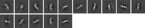 Blobs In 2d Classes 2d Classification Cryosparc Discuss