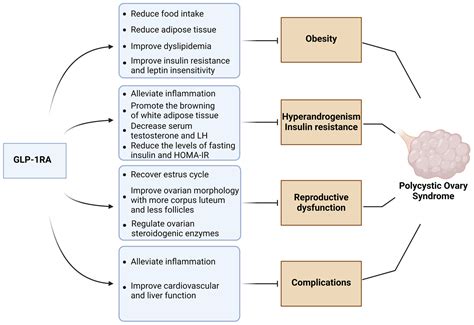 The Beneficial Effects Of Glp 1 Receptor Agonists Other Than Their Anti