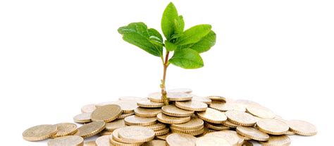 Optimiza Tu Inversión En El Capital De Trabajo Inversión Argentina