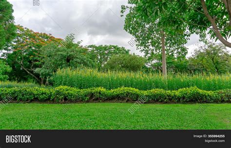 Greenery Garden Image Photo Free Trial Bigstock