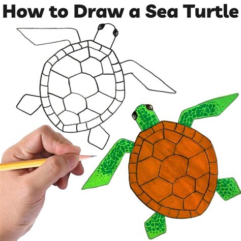 How To Draw A Simple Sea Turtle