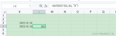 excel函数 跟时间有关的函数（today、datedif、days、datevalue等） datedif和datevalue csdn博客