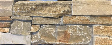 אבן טרופית טייגר 014 אבן טין