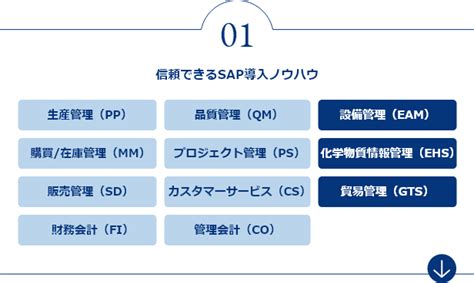 Sap コンサルティング・導入支援サービス：製品・サービス：日立産業制御ソリューションズ