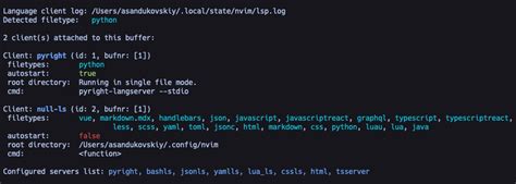 Lsp Not Working With Newly Created Python Files Issue 143 LunarVim