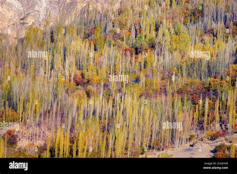Autumn At Hunza And Northern Areas Of Gilgit Baltistan Pakistan Stock