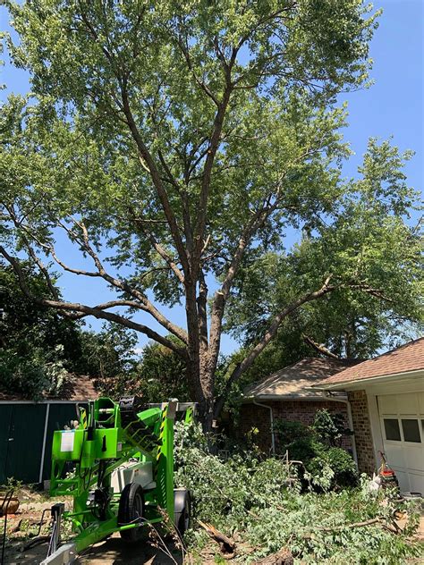 Tree Pruning Mistakes