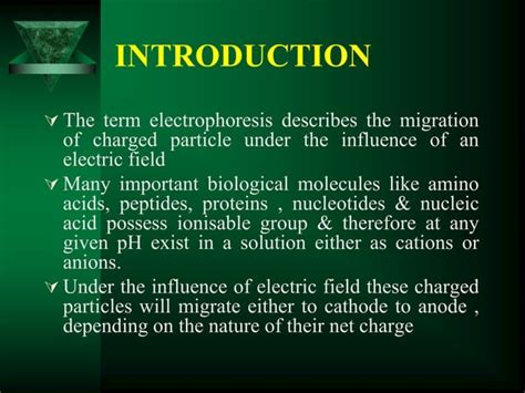 Gel Electrophoresis Genetics And Ptant Briding Ppt