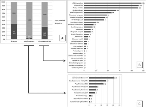 Prevalence Of Nasal Colonization With Staphylococcus Aureus Download Scientific Diagram