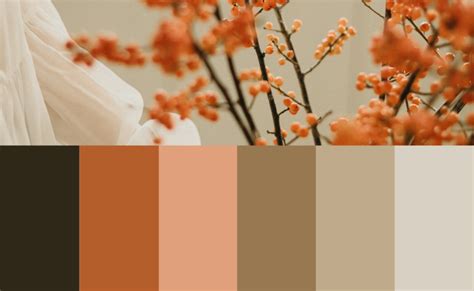 Autumn Color Palette Inspiration With Hex Codes Jessie Monday