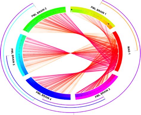 Jc Virus Plos One