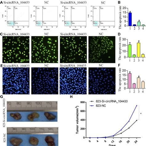 Differences In Circrna Expression Profile Between Gc Tissues And Paired