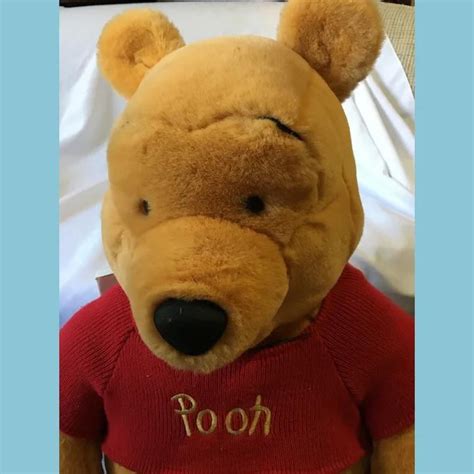 Anyone Help With Finding This Pooh Bear R Plushies