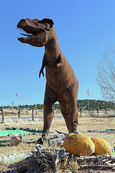 T Rex Nest Photograph By Rick Mann