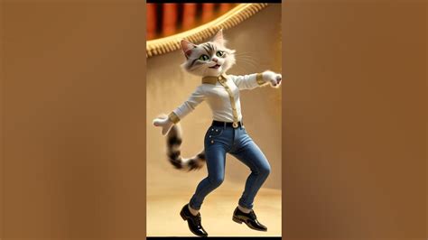 Happy Cat Dancing Funnykitty Cat Kitten Funnycutekitties Cute