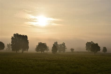 Free Images Landscape Tree Nature Horizon Cloud Sky Sun Fog