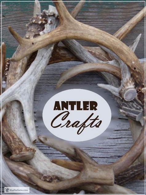 Antler Crafts Diy Home Decor Ideas