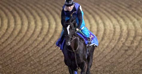 【香港ヴァーズ】国内最終追い グローリーヴェイズは3勝目へ尾関師「今週が競馬でもいいくらい」 サンスポzbat