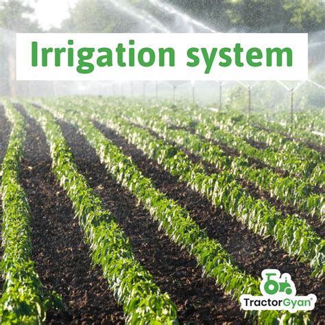 Irrigation System In Farming Understand Sources Methods And Importance