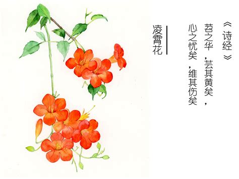 诗经更新天空安靜 站酷zcool