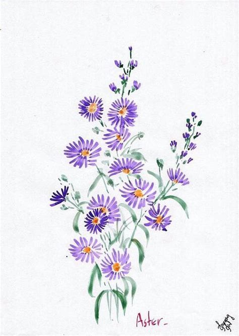 Pin By Caroline Pauls On Confidentiel Aster Flower Tattoos Flower Drawing Flower Tattoo Designs