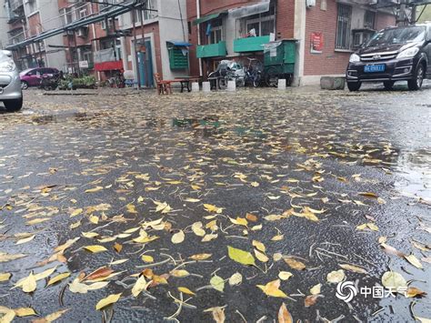 冬雨初来津城，凉意十足 高清图集 中国天气网天津站