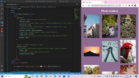 Html Css Ve Javascript Kullanarak Fotoğraf Galerisi Oluşturma Üretken