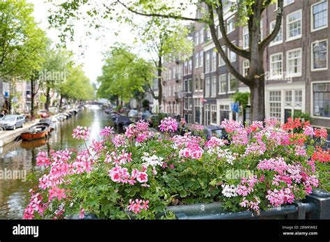 View Of Beautiful Buildings And Canal From A Bridge With Flowers