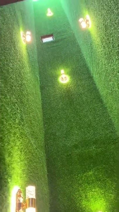 Grass Artificialgrasswalldecor Wallgrassglassdecorludhiana Decor