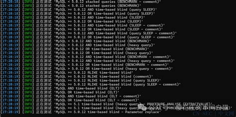 Sqlmap汉化图形化界面版 助力小白和日常渗透 Cn Sec 中文网 Sqlmap汉化图形化界面版 助力小白和日常渗透 Cn Sec 中文网