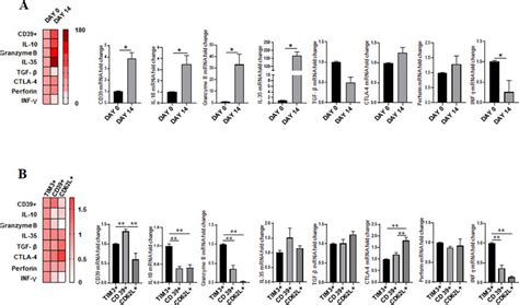 Mrna Analysis A Heatmap And Bar Graph Representations Of Cd39