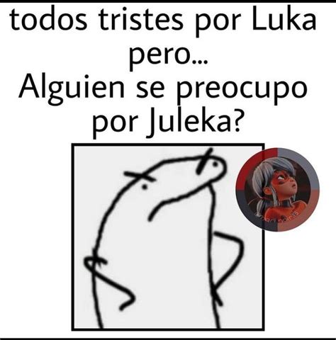 Pin De Camila 🙄🤗 En Imágenes De Miraculous Ladybug Memes De