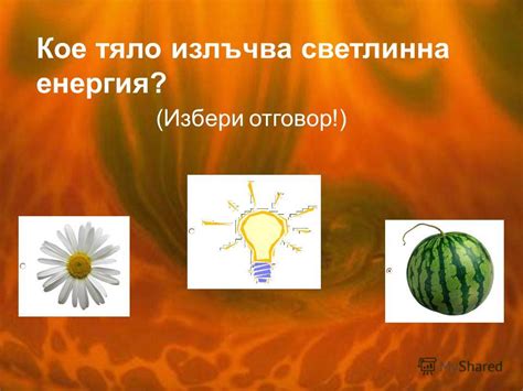 Презентация на тему Всички организми се нуждаят от енергия за да са